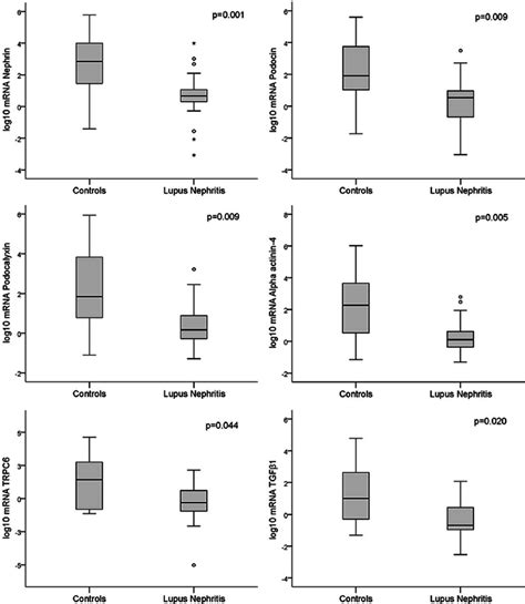 box plot representations showing medians and interquartile ranges of
