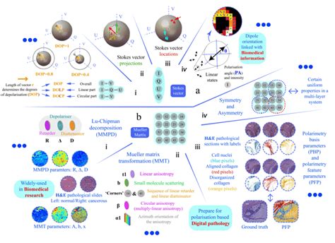 vectorial information extraction approaches a stokes vector based