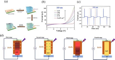A Schematic Representation Of The Fabrication Of A Vertically Aligned Download Scientific