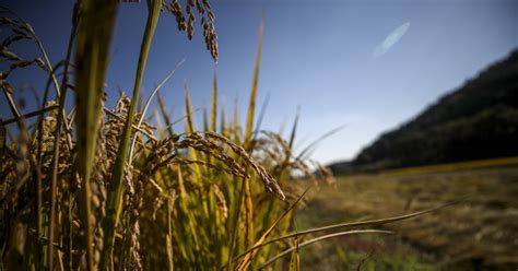 서리 내리는 상강낮 최고 22도 평년 수준