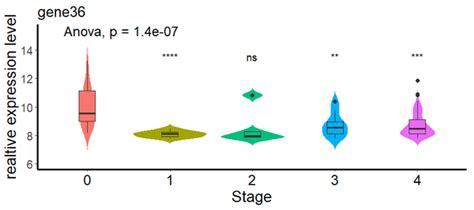 R语言ggplot2绘制小提琴图（violin Plot） 知乎