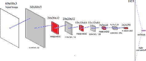 Figure 2 From Classification Of Palm Trees Diseases Using Convolution