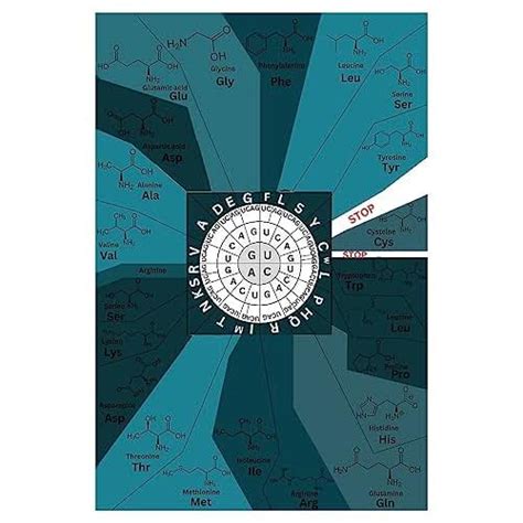 Science Of Genetic Code Poster Science Wall Art Print