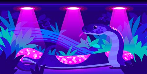 Finding Malicious Pypi Packages Through Static Code Analysis Meet