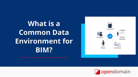 What Is A Common Data Environment For Bim