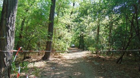 По време на лов Простреляха двама младежи в Мездренско оперираха ги във врачанската болница