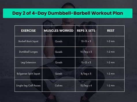 4 Day Dumbbell And Barbell Workout Routine W Pdf The Fitness Phantom