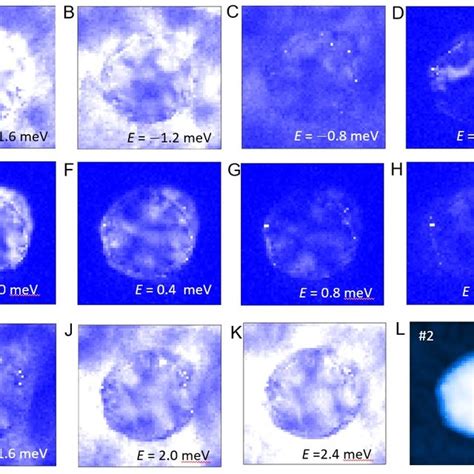 Tunneling Spectra And Differential Conductance Mappings A And B Download Scientific Diagram