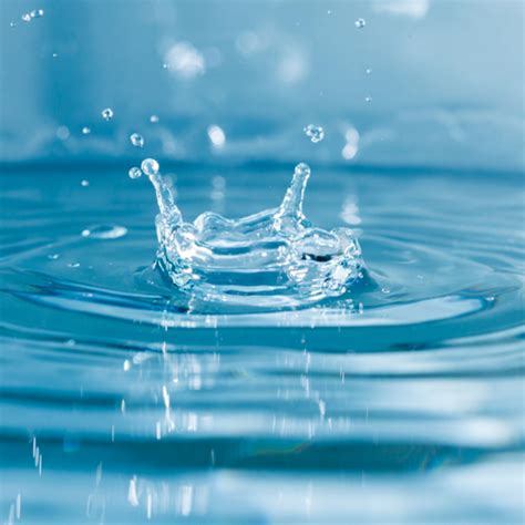 Biopulse Indias First Single Use Bioprocessing Integrator