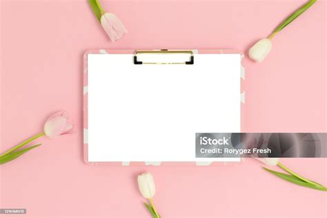 분홍색 파스텔 배경에 녹색 잎과 꽃으로 만든 프레임입니다 종이 카드 모형 클립 보드 0명에 대한 스톡 사진 및 기타 이미지 0명 개념 개화기 Istock