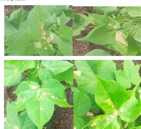 Figure 4 From Optimizing Parameter Efficiency In Machine Learning Models A Focus On Reducing