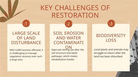 innovative synchronization of mine site restoration and reclamation