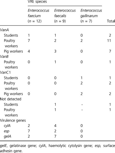 Vancomycin Resistance Gene And Virulence Genes Detected From Vancomycin Download Scientific