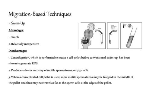 Sperm Preparation Techniques PPTX Infertility Reproductive Health