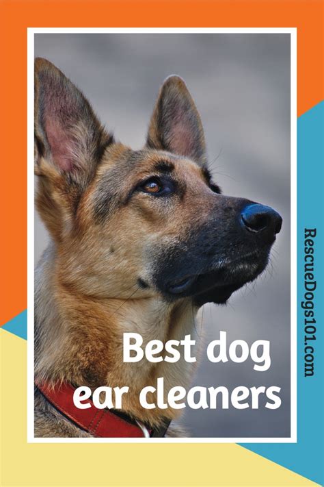 Best Dog Ear Cleaner 2020 Review Artofit