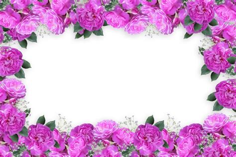 꽃 테두리 프레임 배경 꽃 배경 꽃 프레임 배경 프리미엄 사진