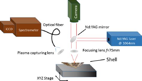 Figure 1 From Automated Measurement Of Magnesium Calcium Ratios In Gastropod Shells Using Laser