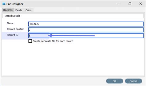 File Dataview Records Tab Flat File Definitions
