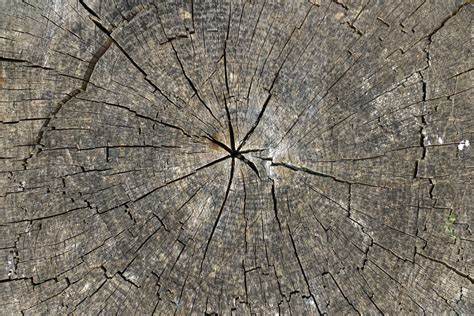 What Is Temporal Integration How Our 3 Stage Therapy Model Supports Whole Person Healing What