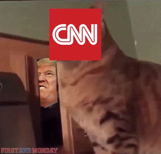 Cnn GIFs Get The Best GIF On GIPHY