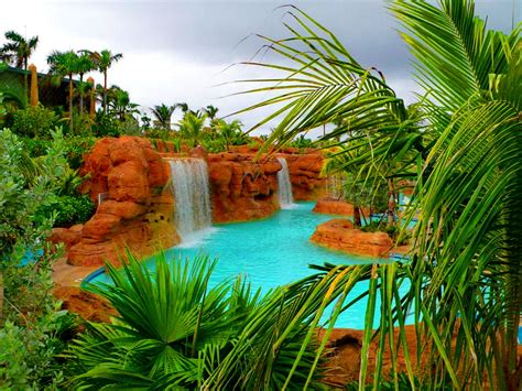 Exotic