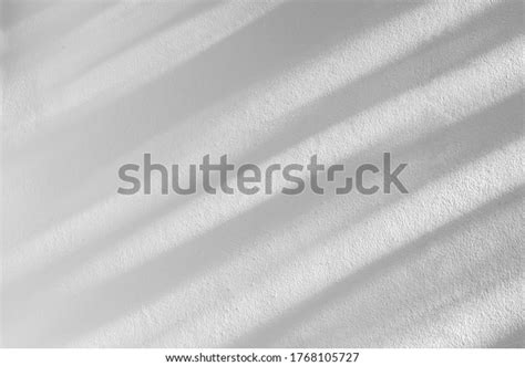 자연 검은 그림자와 밝은 추상 배경 스톡 사진지금 편집 1768105727