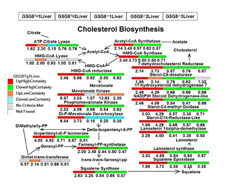 An Example Of PSCP Files In Which Multiple Microarray Datasets Were Download Scientific Diagram