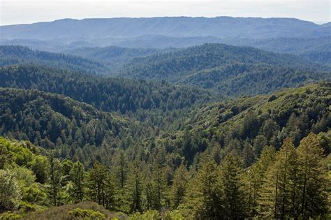 Castle Rock State Park Sempervirens Fund