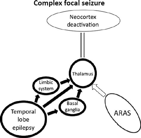 What Does Epilepsy Tell Us About The Neural Correlates Of Consciousness
