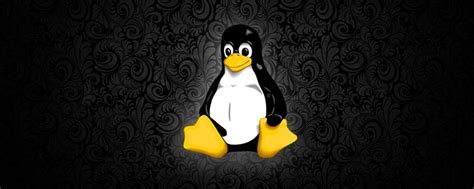 stack clash bug could give root privileges to attackers on unix linux