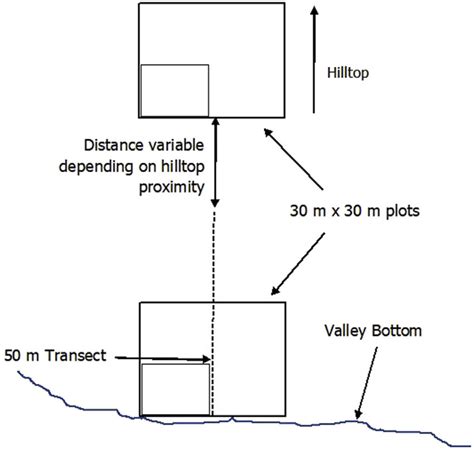 Location Of Plots And Topographic Transects Download Scientific Diagram