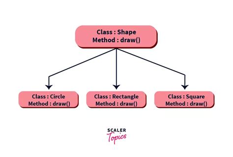 Python Oopsoop:python 中的多态性与示例python中多态 Csdn博客 Python Oopsoop:python 中的多态性与示例python中多态 Csdn博客