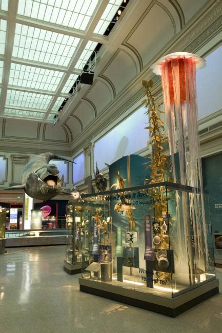 The New Sant Ocean Hall Opens Sept 27 At The Smithsonians National