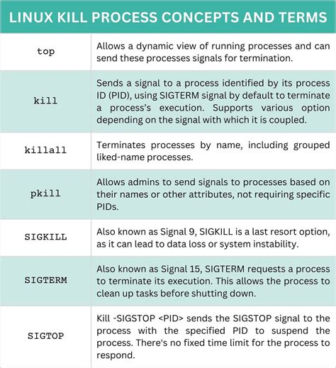 Quick Guide Kill Processes With Linux Command In Seconds