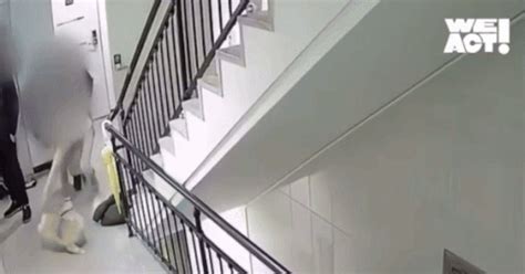 아이 보는 앞에서 반려견 창문 밖으로 휙부모의 만행 영상