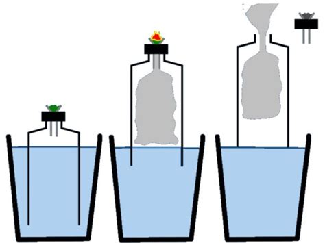 How To Make A Gravity Bong A Guide IE Meds