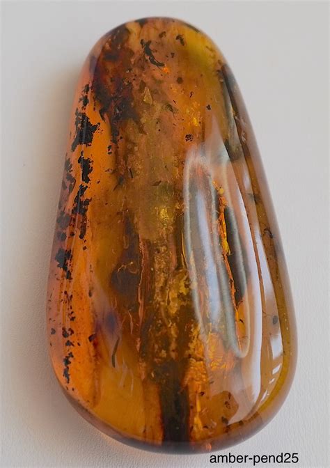 Natural Baltic Sea Amber Cabochon With Bugs Inside Large High Grade