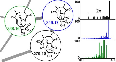 Molecular Networking As A Dereplication Strategy Journal Of Natural Products