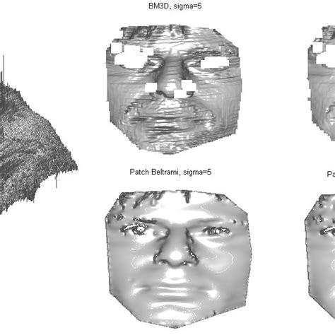 1 Examples Of Beltrami Patch Denoising For Images From Top To Bottom Download Scientific