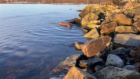 Robert Nicolson On Linkedin We Attempted To Persuade Our New Qc Into A Bit More Of A ‘fine Dining…