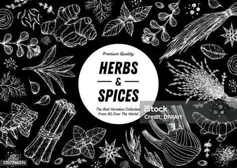 허브와 향신료 손으로 그린 벡터 일러스트레이션 향기로운 식물 손으로 그린 음식 스케치 빈티지 일러스트레이션 카드 디자인 스케치 스타일입니다 향신료와 허브 흑백 디자인 배경