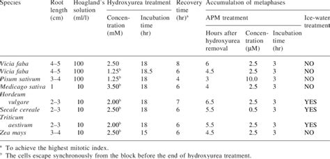 Treatment Of Seeds For Induction Of Cell Cycle Synchrony And For