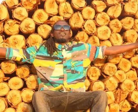 New Added Songs Northern Buzz