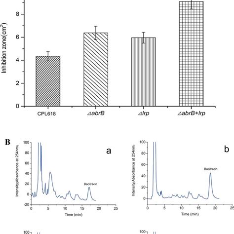 Bacitracin Production And Antibacterial Activity Of B Download Scientific Diagram