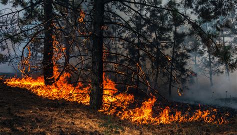 Climate Change Effects On The Insurance Industry