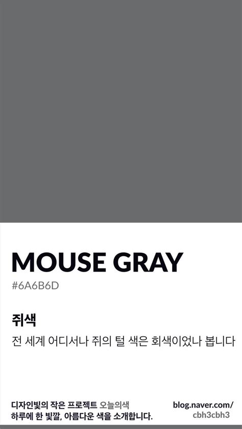 [오늘의 빛 오늘의 색] 쥐색 네이버 블로그 색 이름 색상 혼합 색표