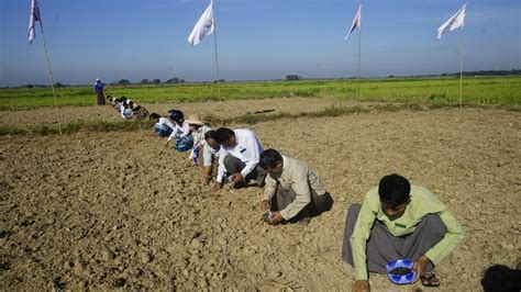 အိမ်မဲမြို့နယ် တကောကျေးရွာတွင် ဆောင်းနေကြာ ၅ ဧက စံပြစိုက်ခင်း မျိုးစေ့ချပွဲကျင်းပ Information