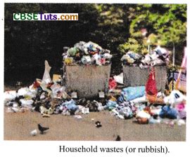 Methods Of Managing The Garbage We Produce In Efficient Ways CBSE Tuts