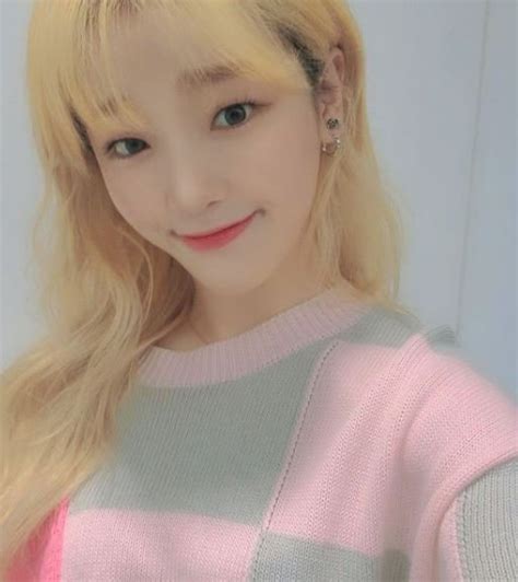 오마이걸 승희 측 탱크에 법적 대응지속적인 괴롭힘 당했다 네이트 연예