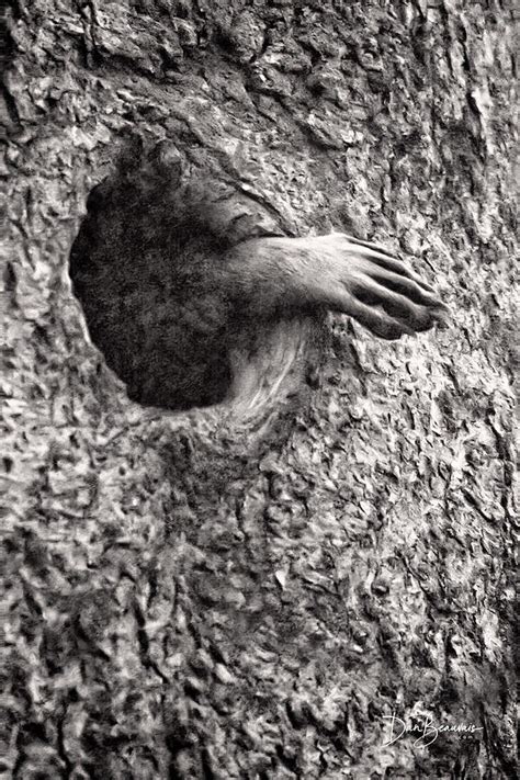 Unsupervised Exploration 6844 Photograph By Dan Beauvais Fine Art America